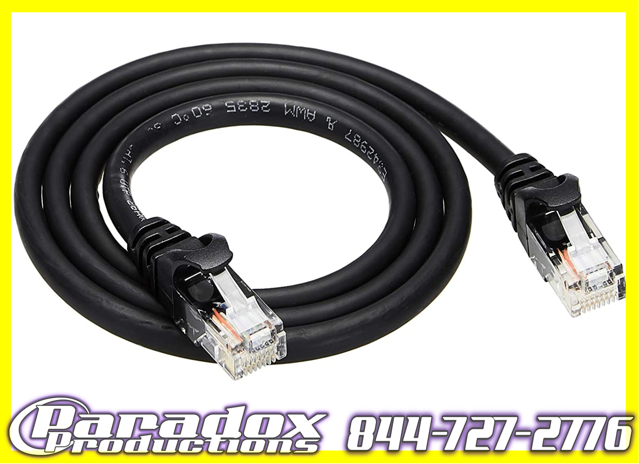 100' Ethernet Cable - Paradox Productions